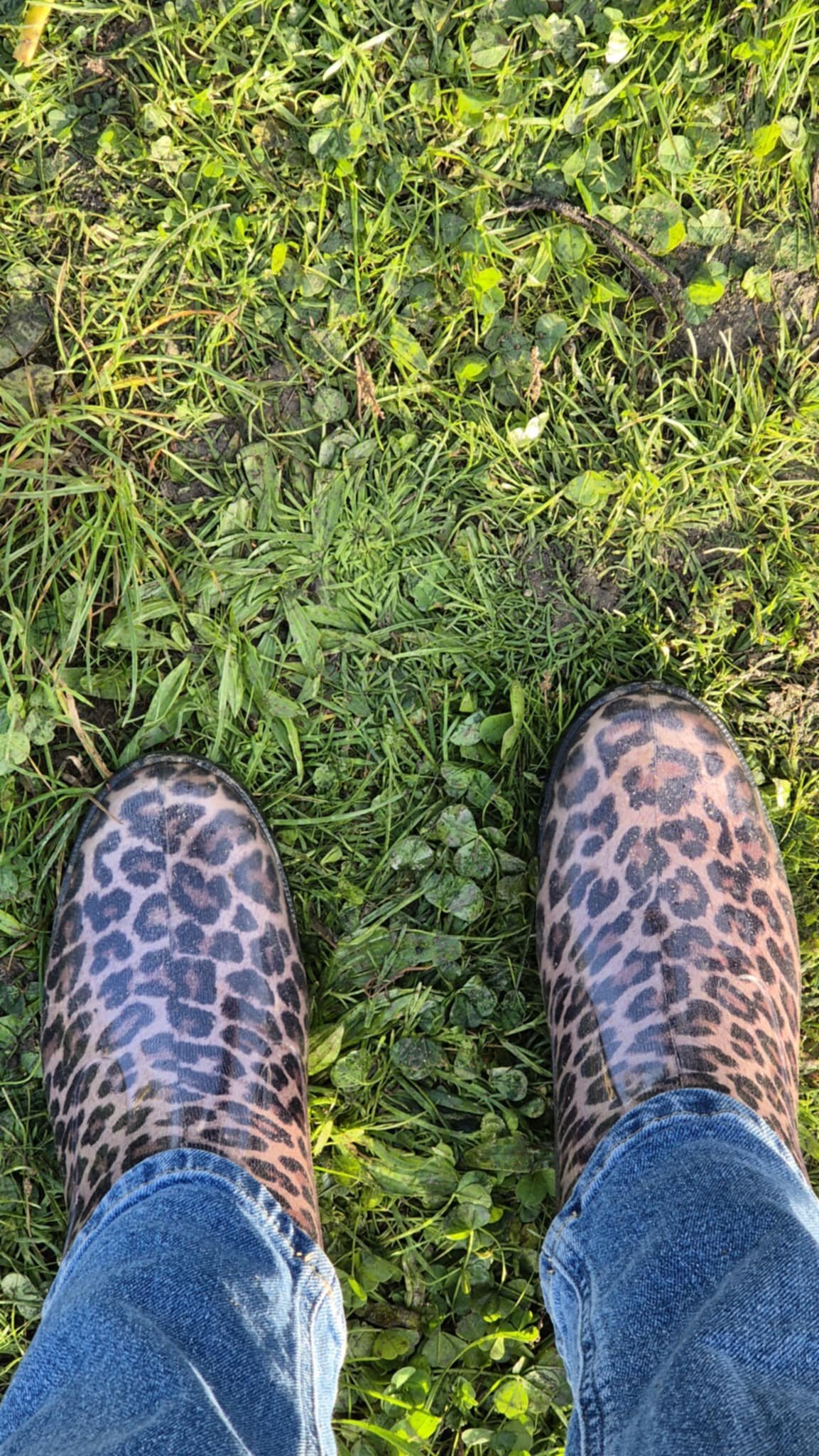 L'Invité du JOur : Gabriel Ducos directeur du domaine de Barolle (47 ...