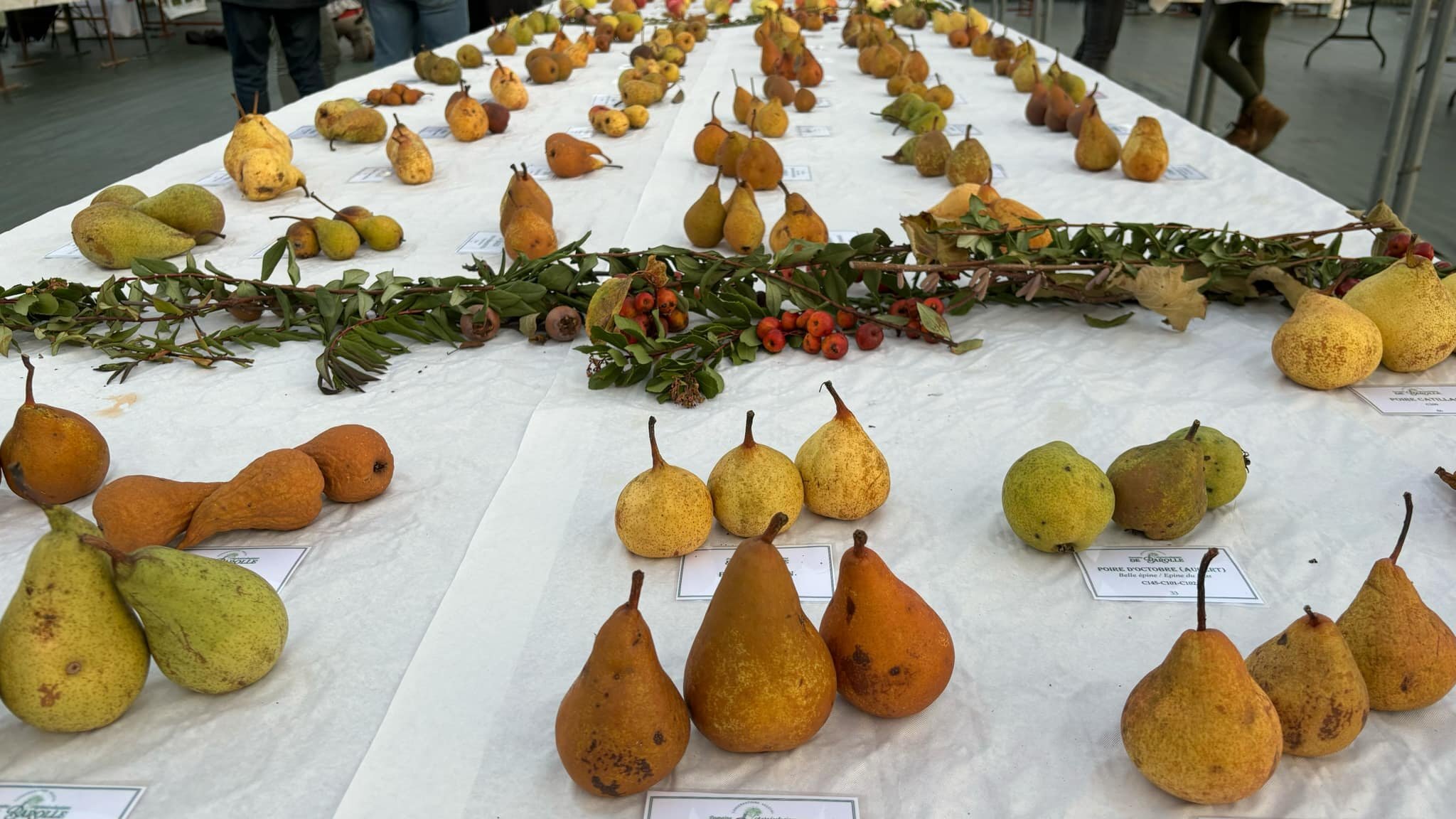 L'Invité du JOur : Gabriel Ducos directeur du domaine de Barolle (47 ...
